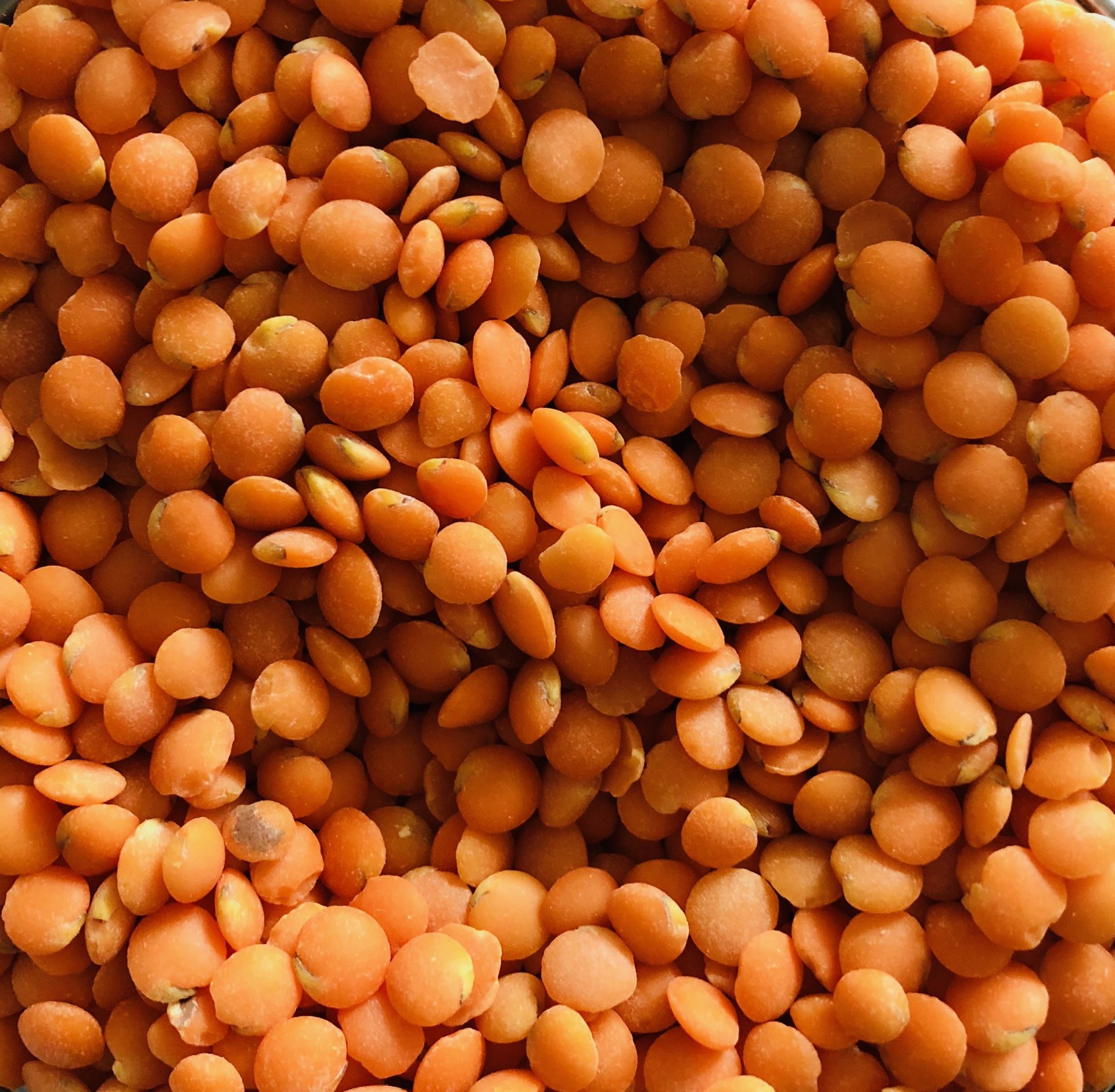 Rode Linzensoep – Alledagenlekker